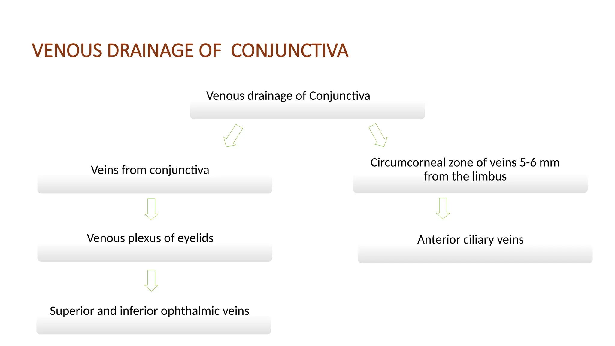anatomy of conjunctiva and sclera- Dr Sanjana.pptx