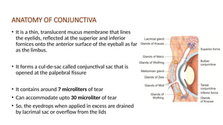 anatomy of conjunctiva and sclera- Dr Sanjana.pptx