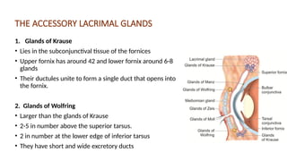 anatomy of conjunctiva and sclera- Dr Sanjana.pptx