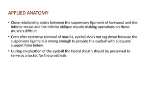 anatomy of conjunctiva and sclera- Dr Sanjana.pptx