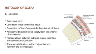anatomy of conjunctiva and sclera- Dr Sanjana.pptx