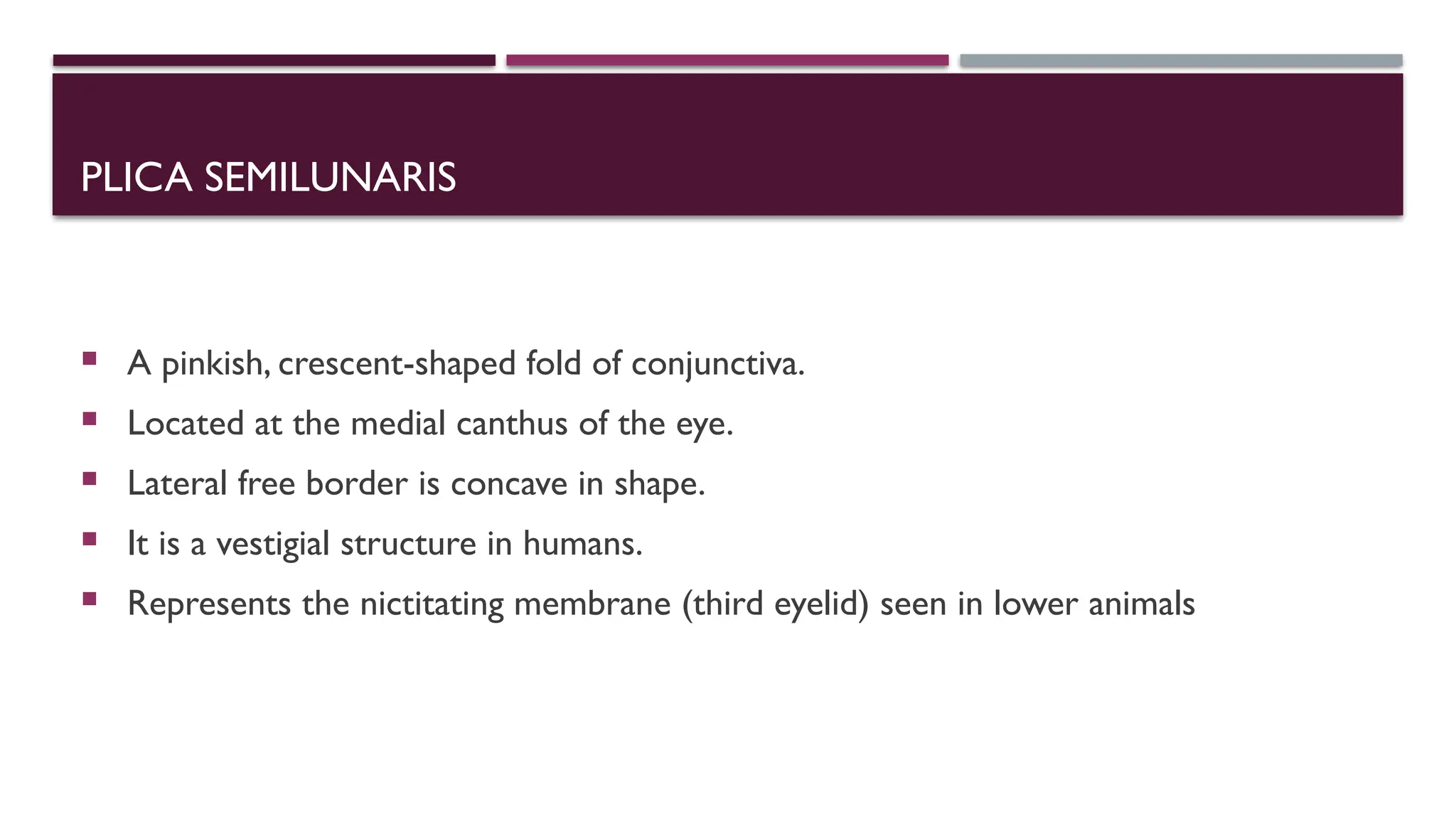 Anatomy Of Conjunctiva And Types Of Conjunctivitis Pptx