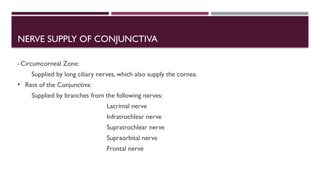 Anatomy of Conjunctiva & Types of Conjunctivitis.pptx