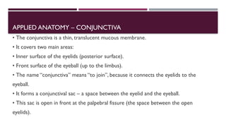 Anatomy of Conjunctiva & Types of Conjunctivitis.pptx