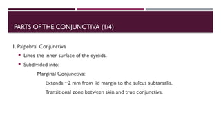 Anatomy of Conjunctiva & Types of Conjunctivitis.pptx