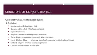 Anatomy of Conjunctiva & Types of Conjunctivitis.pptx