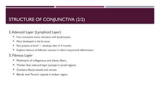 Anatomy of Conjunctiva & Types of Conjunctivitis.pptx