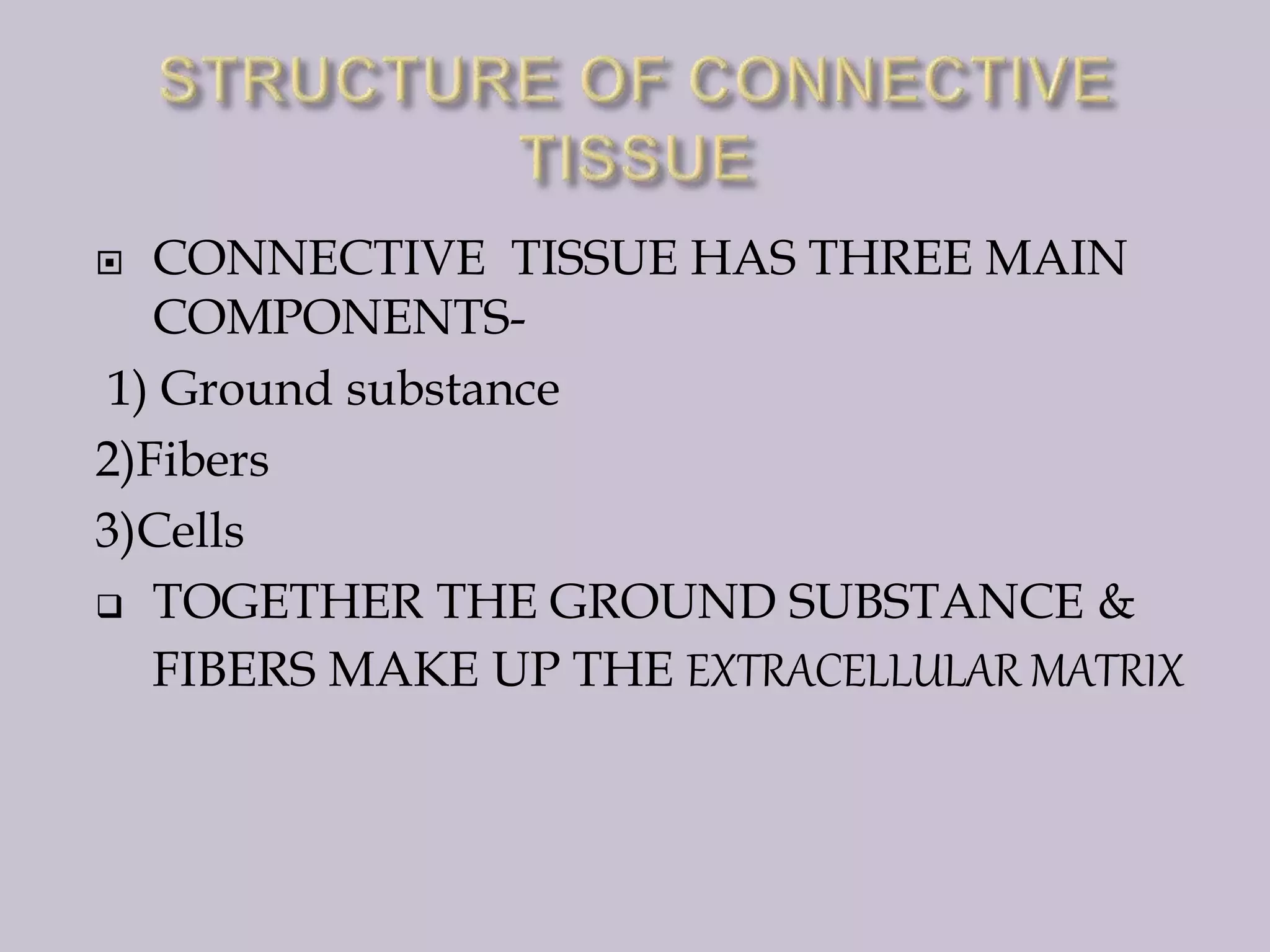 Anatomy of connective tissue by sk.. | PPTX