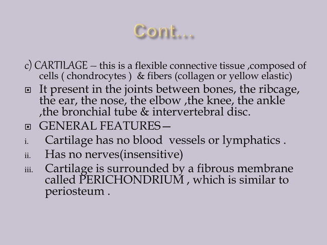 Anatomy of connective tissue by sk.. | PPTX | Bone and Joint Conditions ...