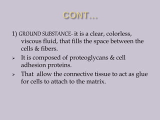 Anatomy of connective tissue by sk.. | PPTX