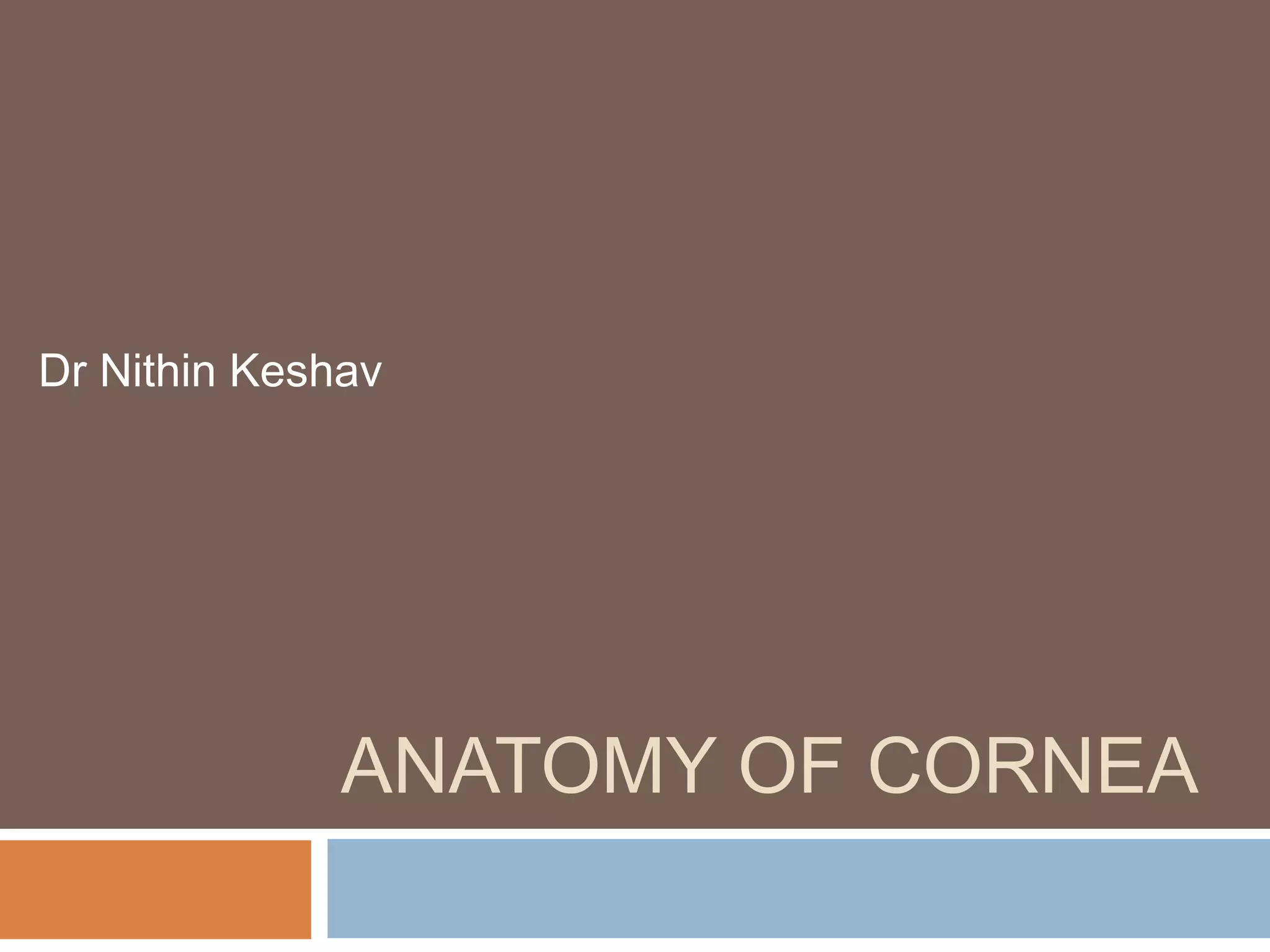 Anatomy of cornea | PPT