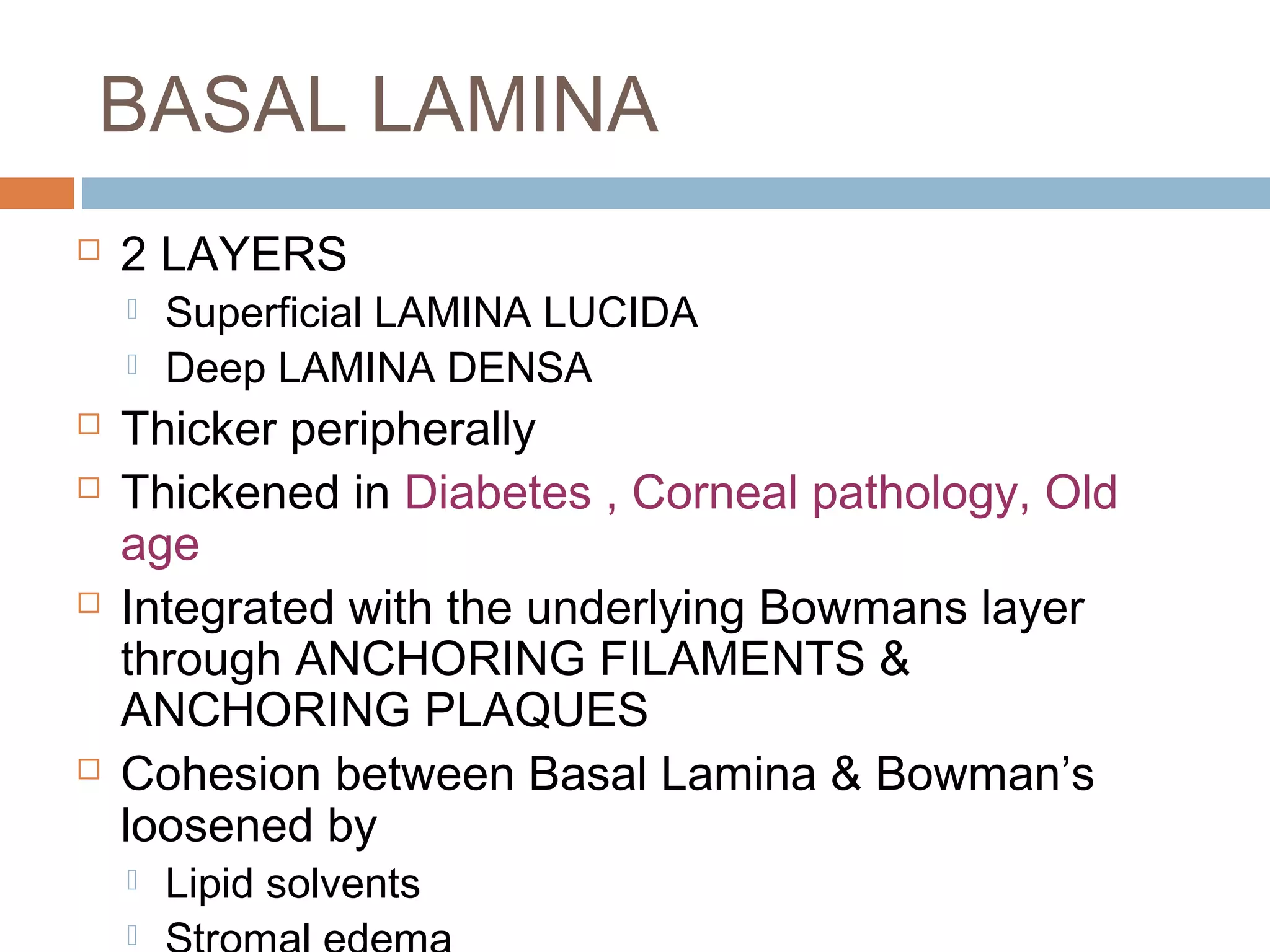Anatomy of cornea | PPT
