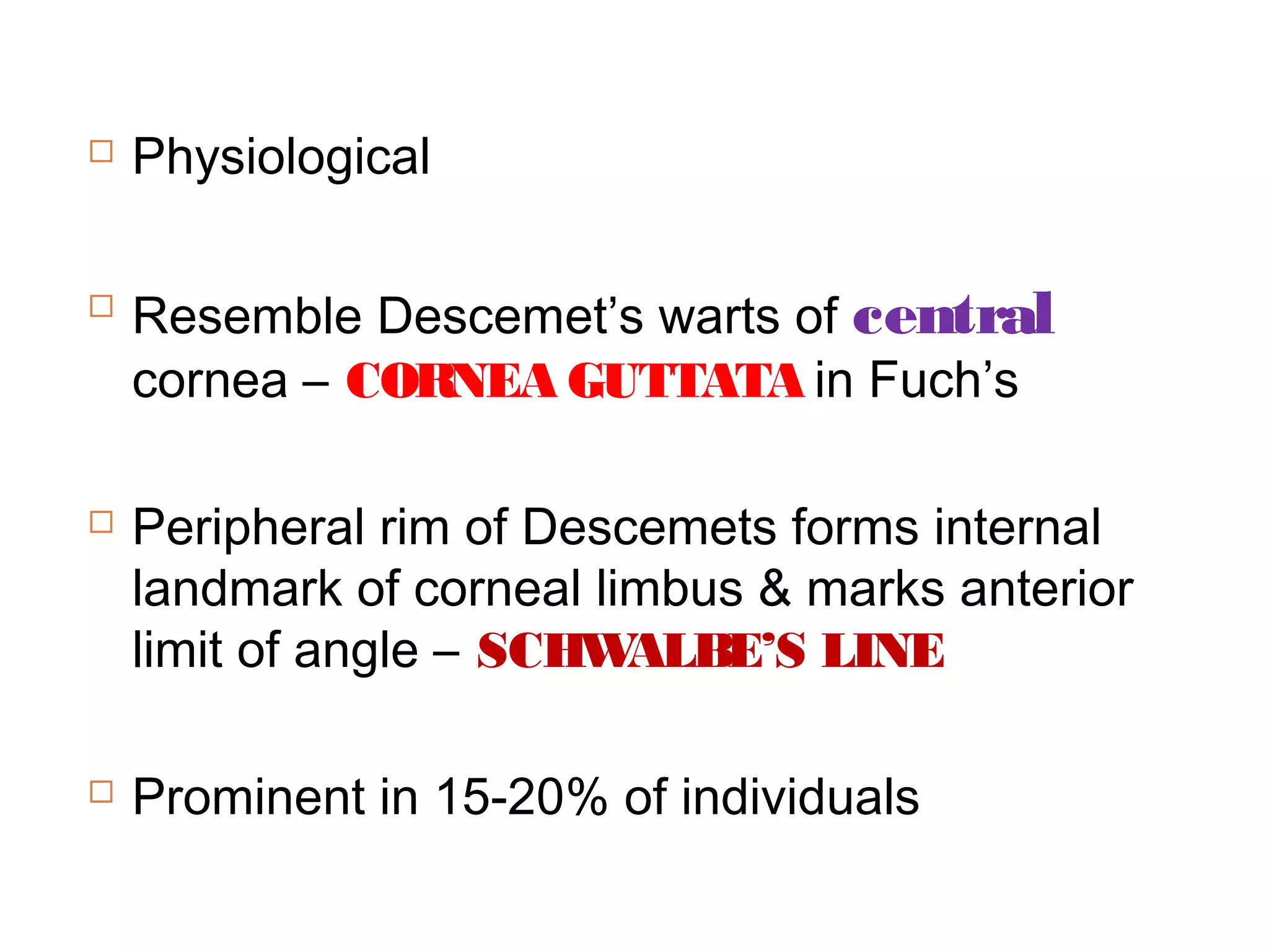 Anatomy of cornea | PPT