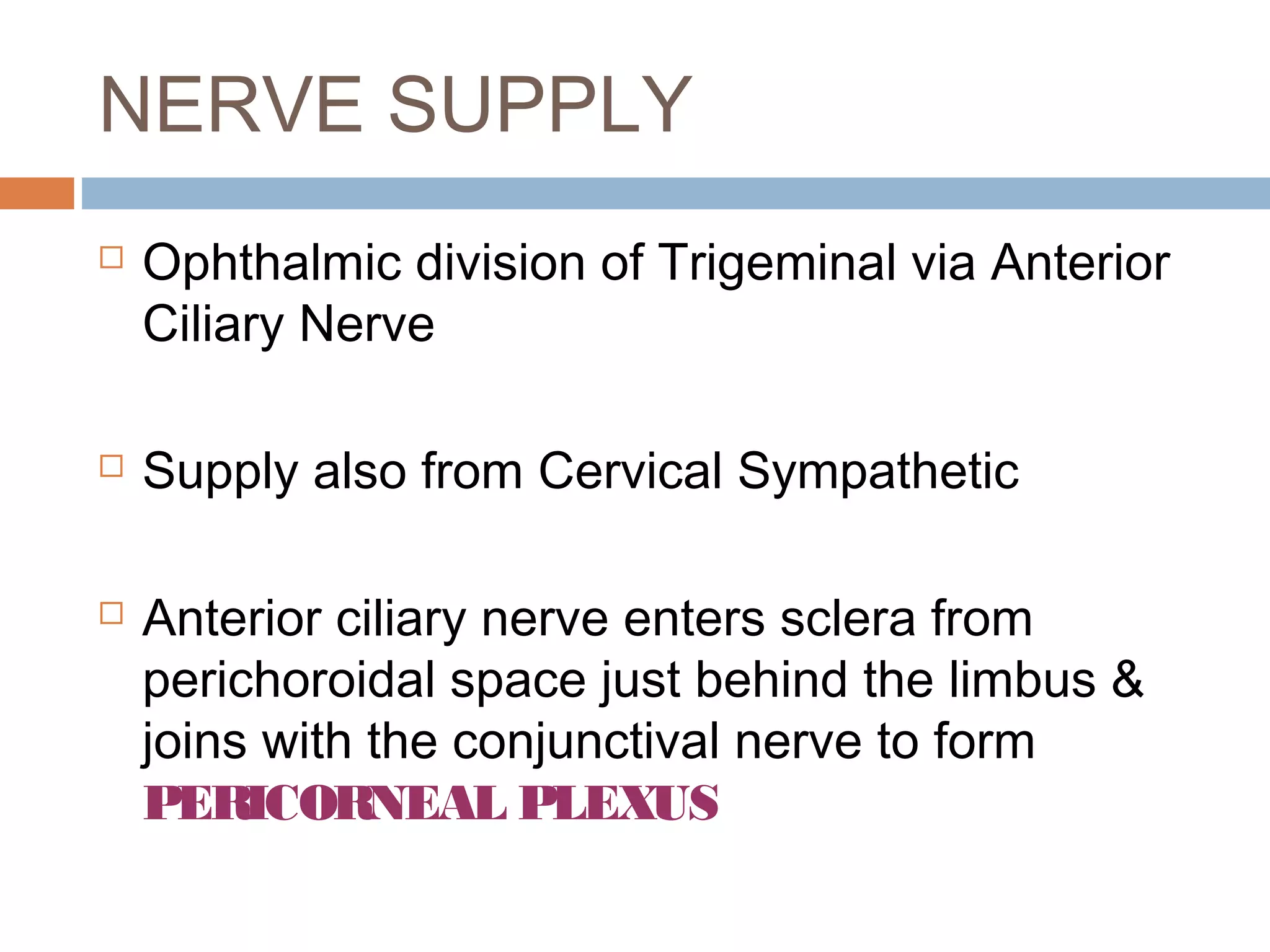 Anatomy of cornea | PPT
