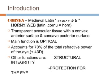 Anatomy of cornea | PPT