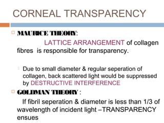 Anatomy of cornea | PPT