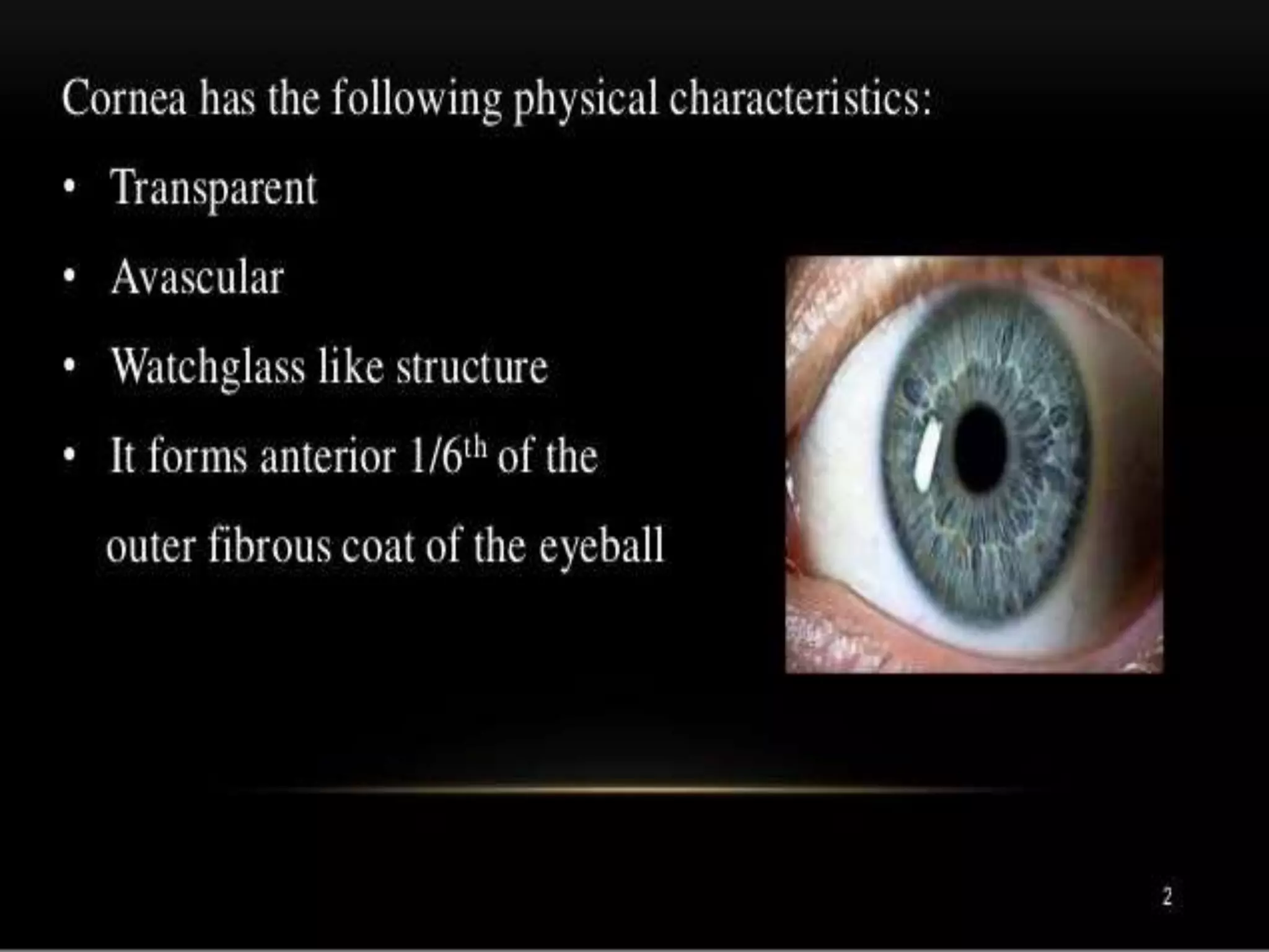 Anatomy of cornea | PPT