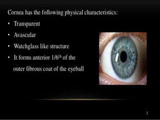 Anatomy of cornea | PPT