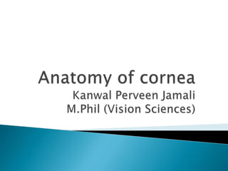 Anatomy of cornea | PPTX | Eye and Vision Conditions | Diseases and ...