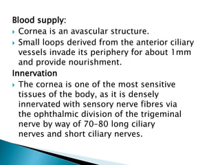 Anatomy of cornea | PPTX