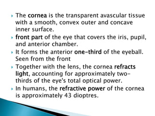 Anatomy of cornea | PPTX | Eye and Vision Conditions | Diseases and ...