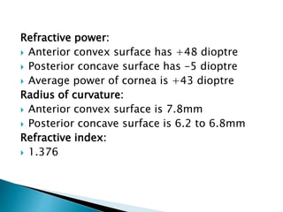Anatomy of cornea | PPTX