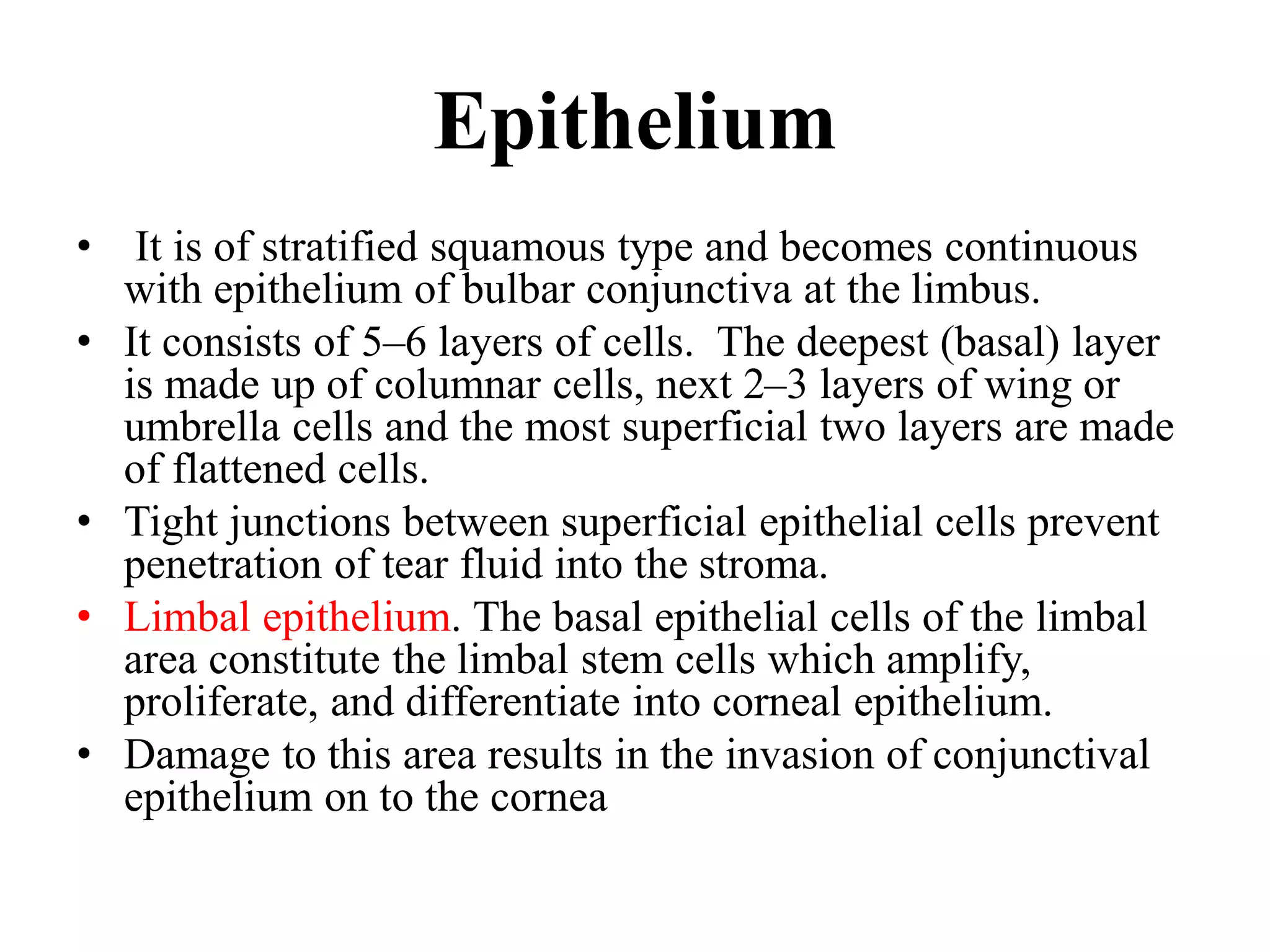 Anatomy of Cornea.pptx
