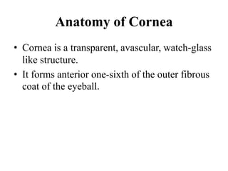 Anatomy of Cornea.pptx