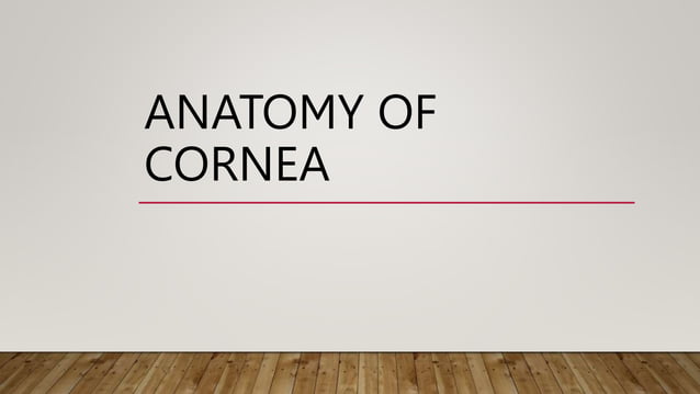ANATOMY OF CORNEA FOR CONTACT LENS FITTING | PPT