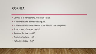 ANATOMY OF CORNEA FOR CONTACT LENS FITTING | PPT
