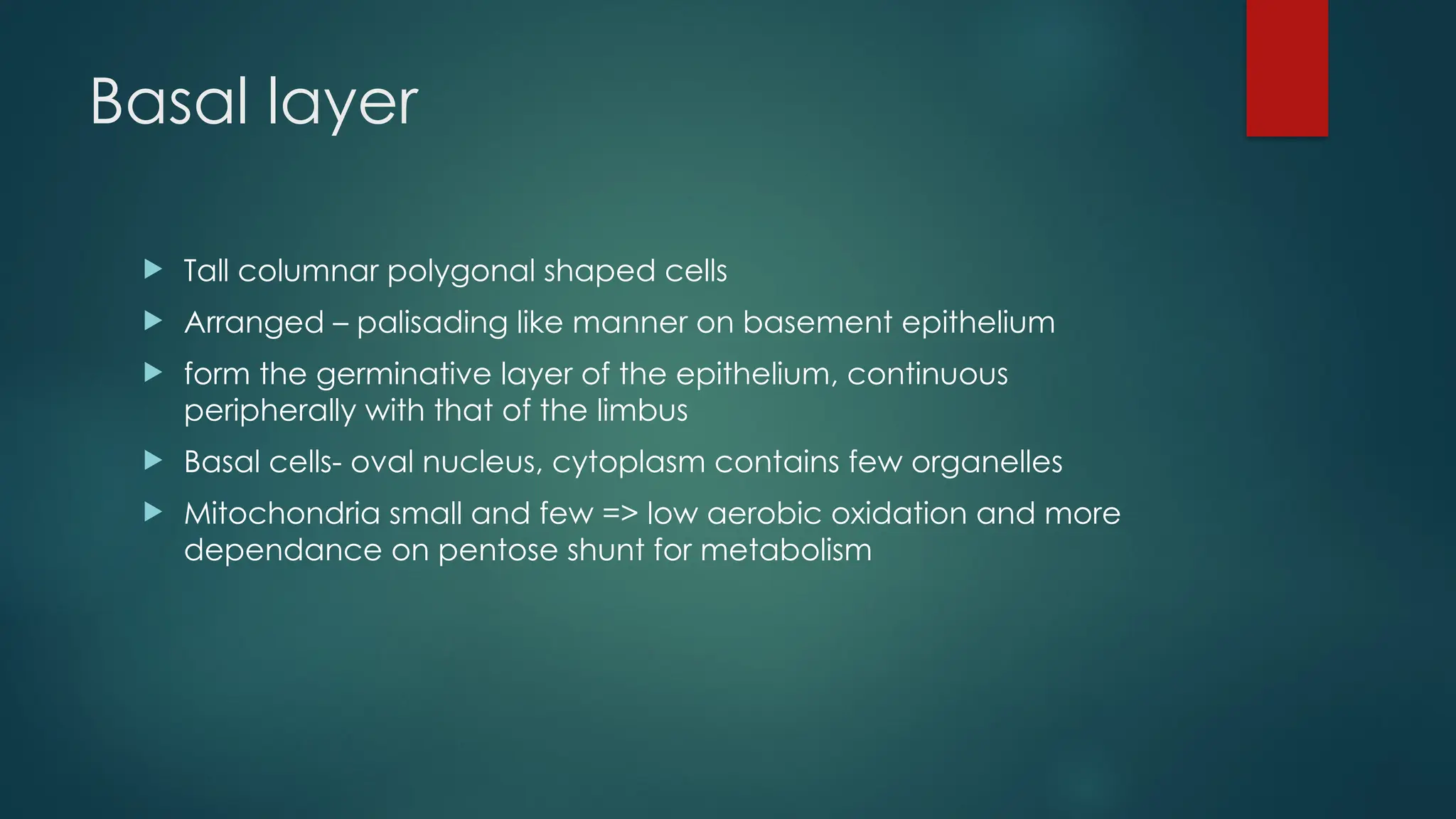 anatomy of cornea powerpoint presentatation .pptx