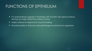 anatomy of cornea powerpoint presentatation .pptx