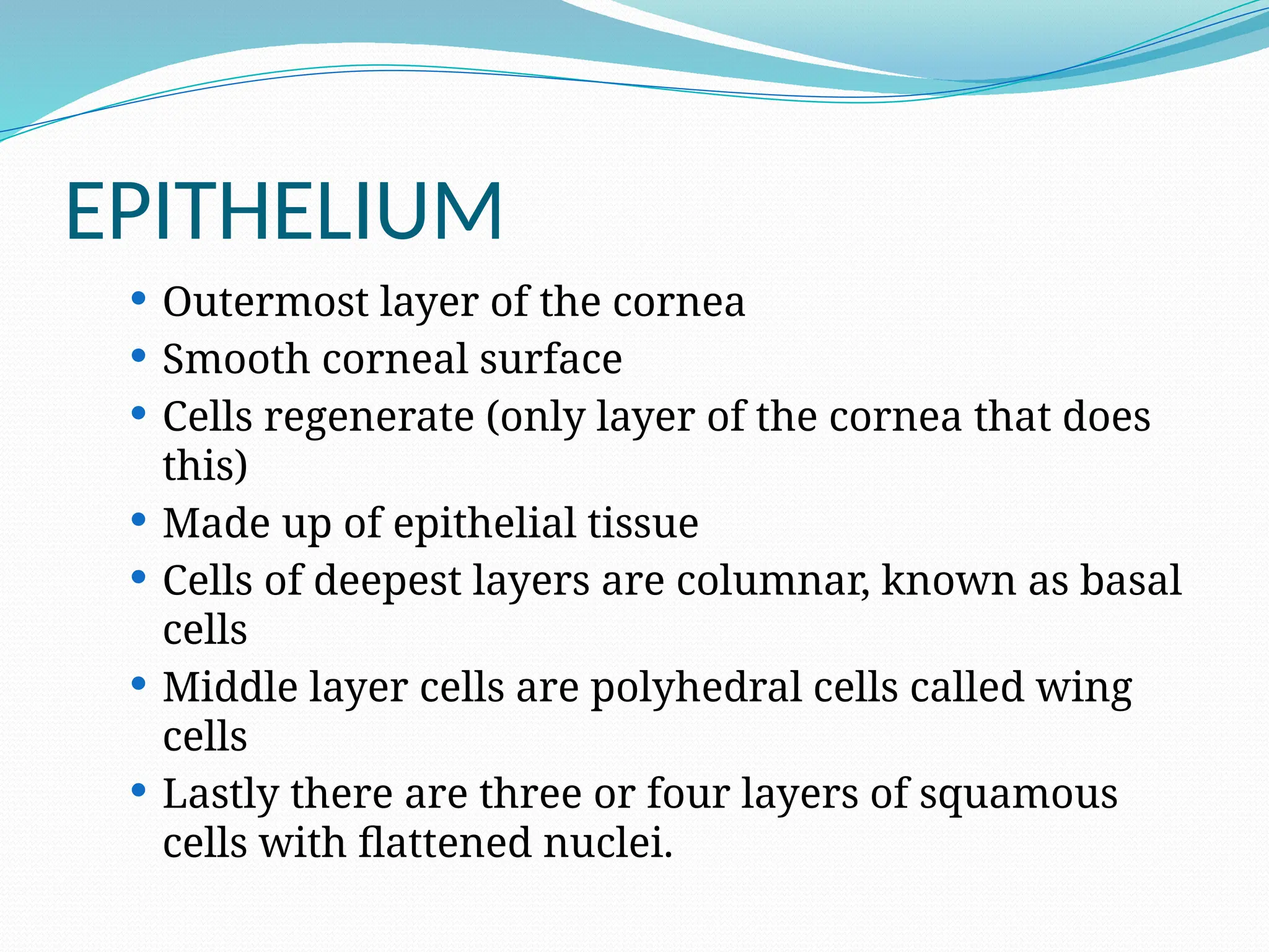 anatomy of cornea ANATOMY OF CORNEA.pptx