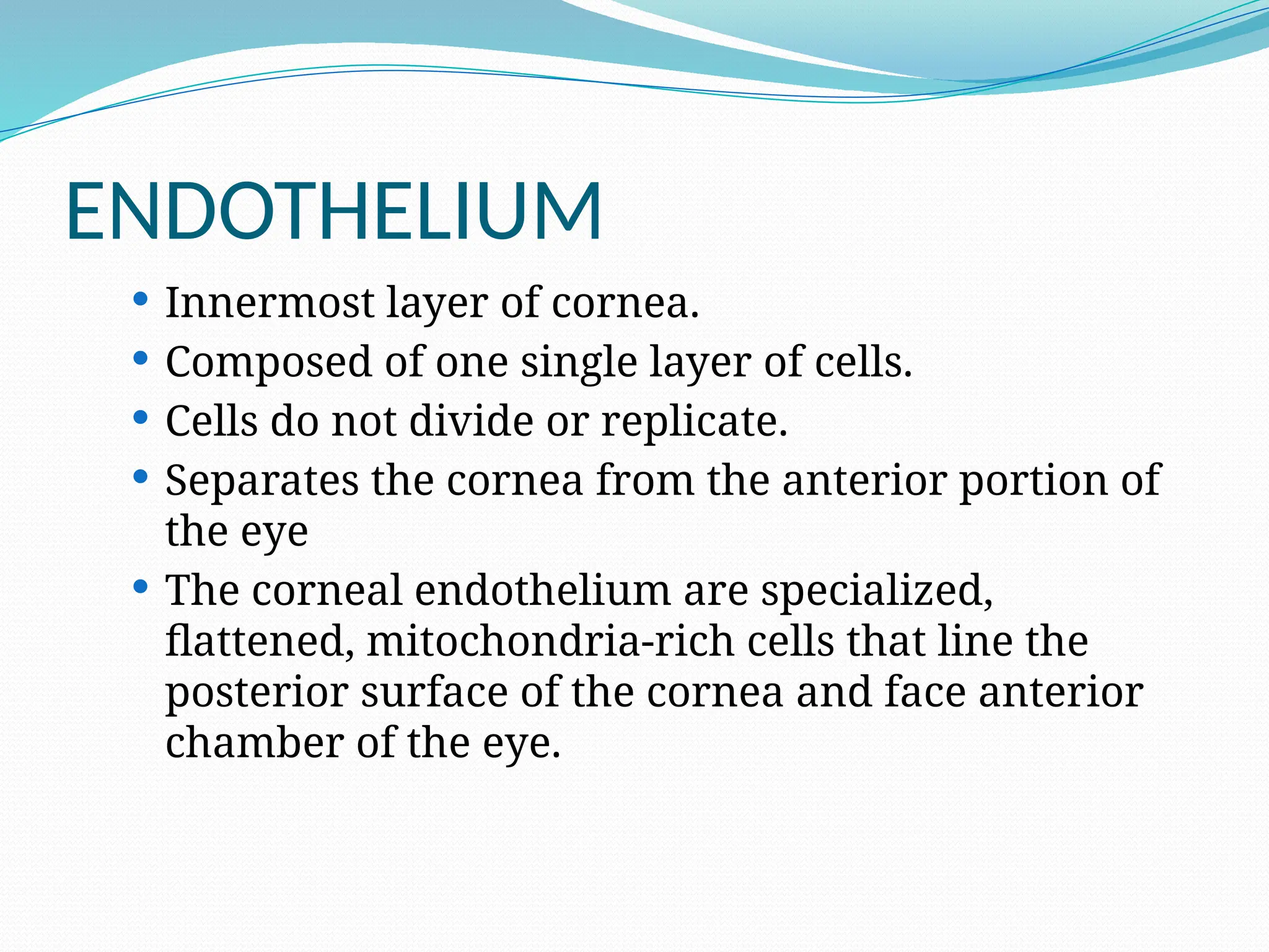 anatomy of cornea ANATOMY OF CORNEA.pptx