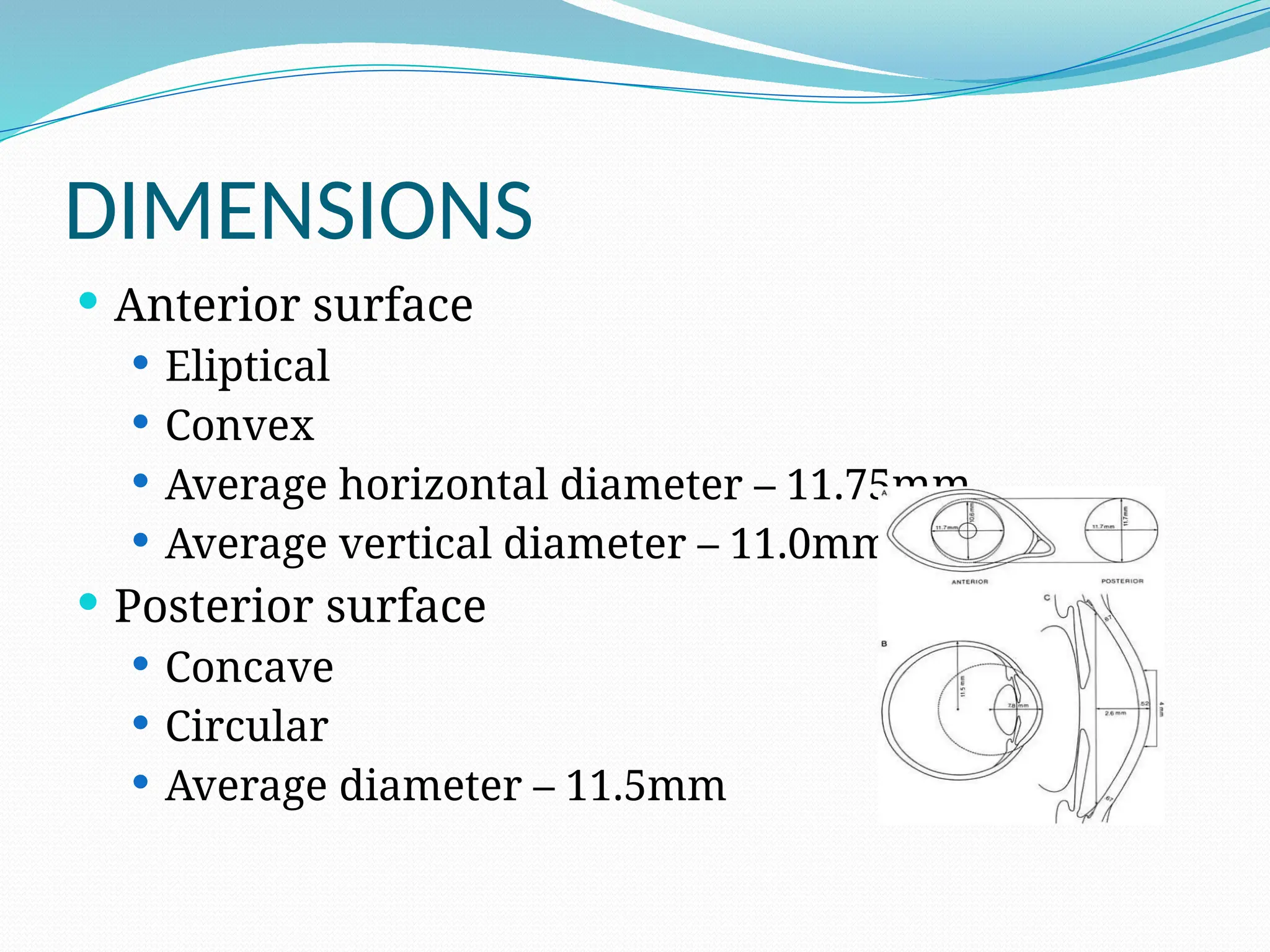 anatomy of cornea ANATOMY OF CORNEA.pptx