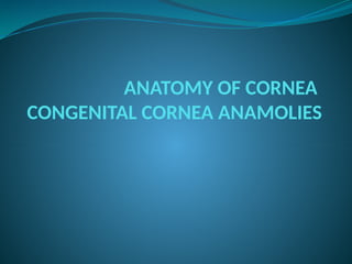 ANATOMY OF CORNEA.pptx anatomy of cornea | PPTX