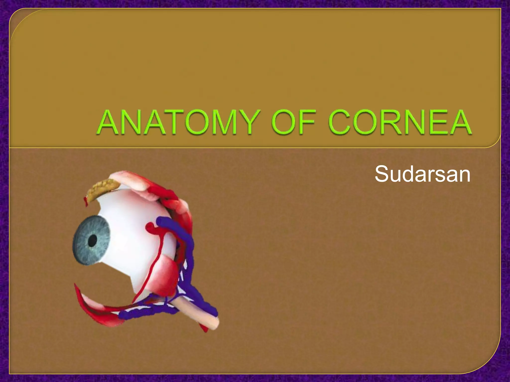 Anatomy of cornea copy | PPT