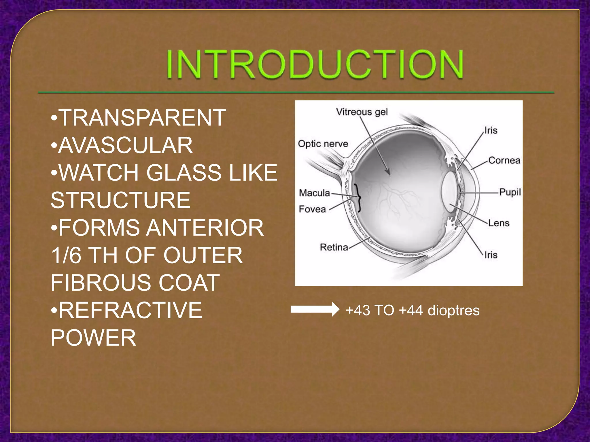 Anatomy of cornea copy | PPT