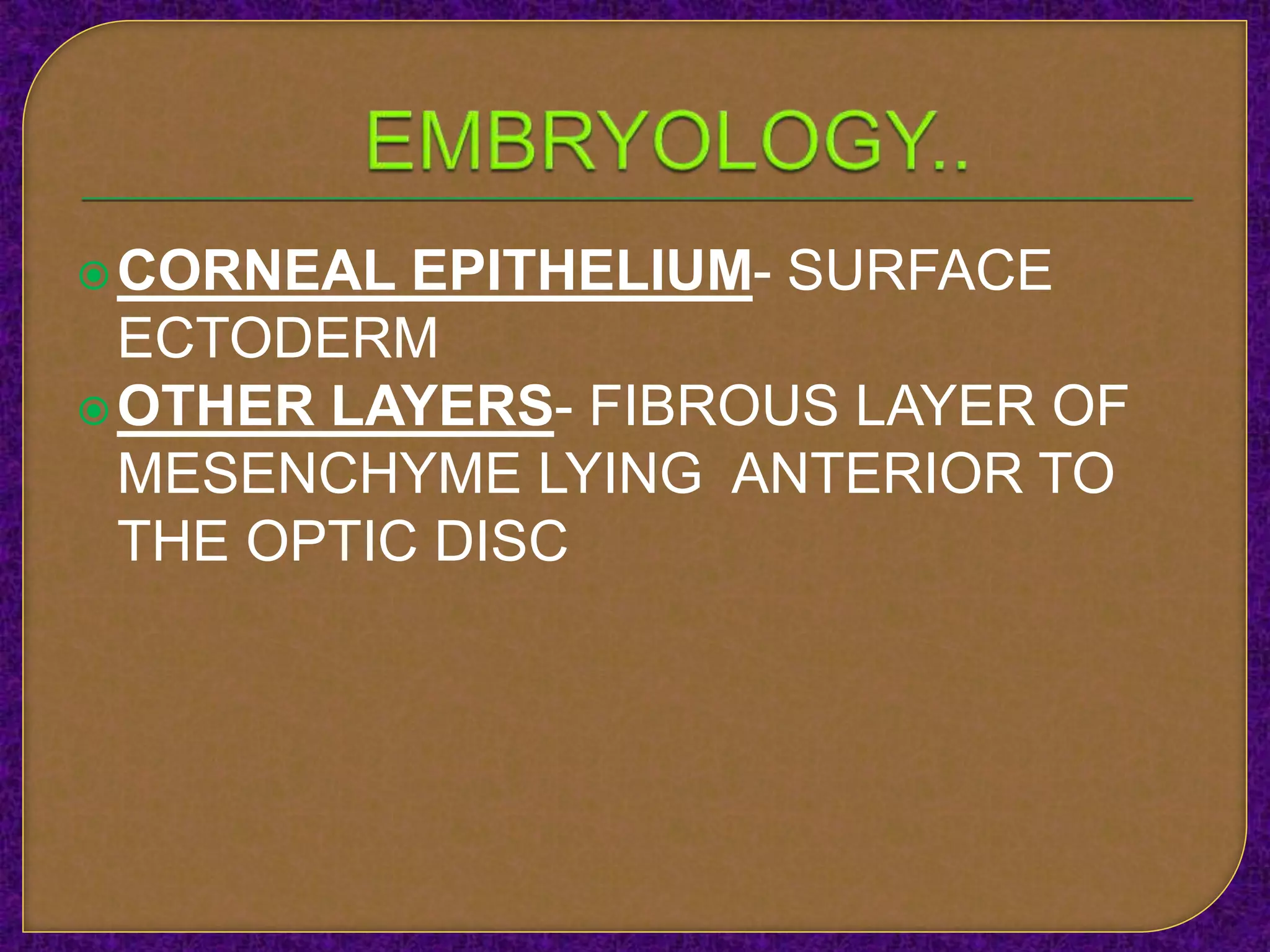 Anatomy of cornea copy | PPT