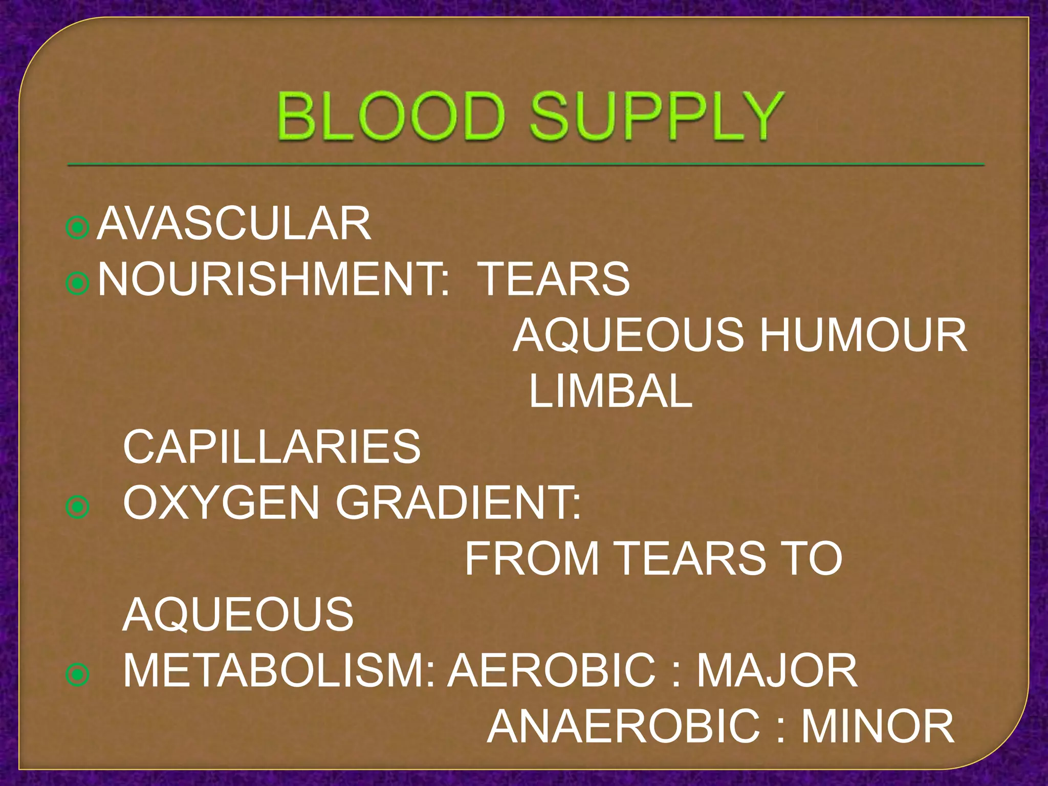 Anatomy of cornea copy | PPT