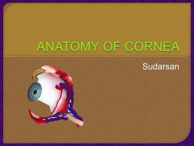 Anatomy of cornea copy | PPT
