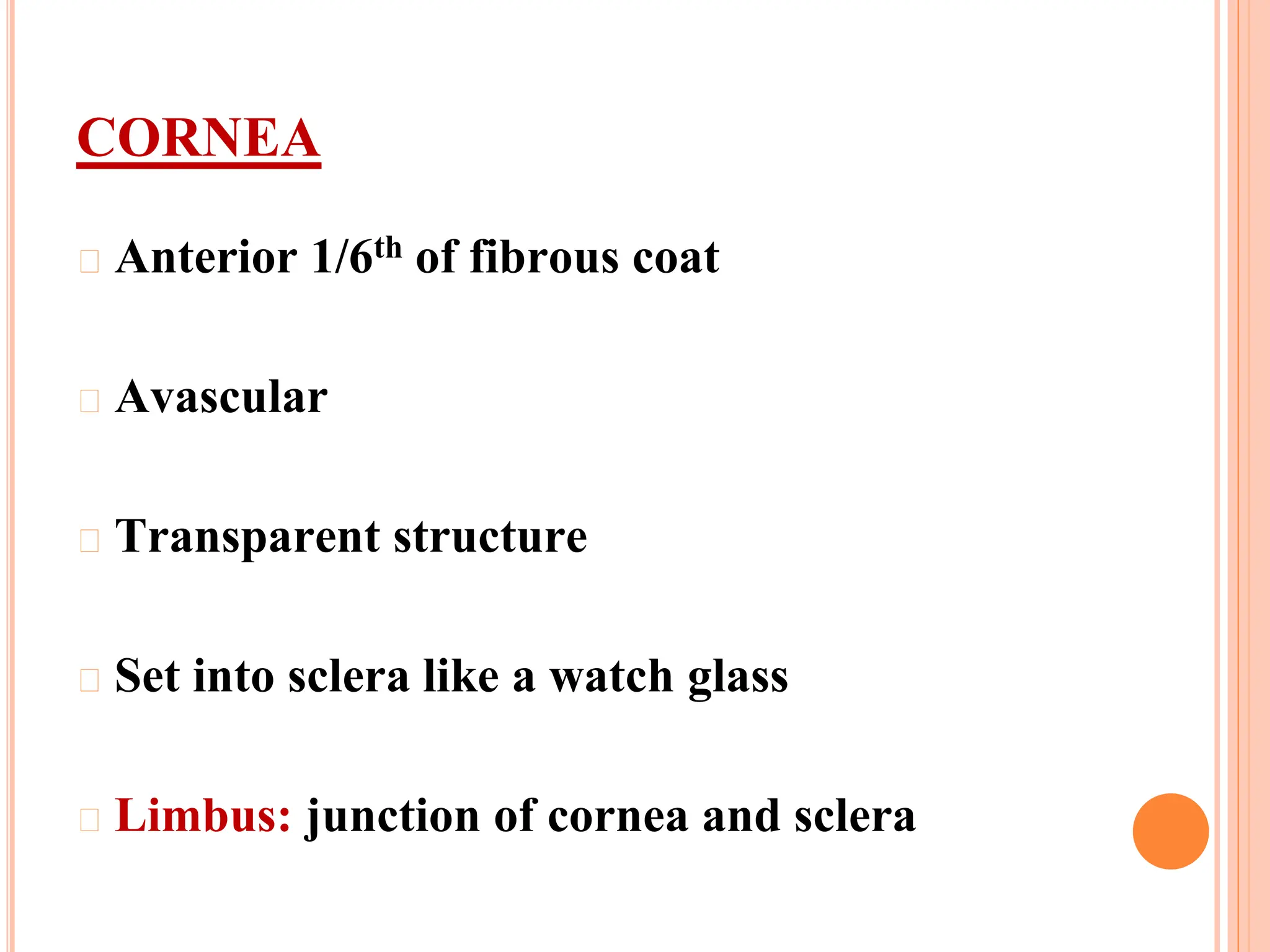 ANATOMY OF CORNEA AND MAINTENANCE OF CORNEAL TRANSPARENCY-1.pptx