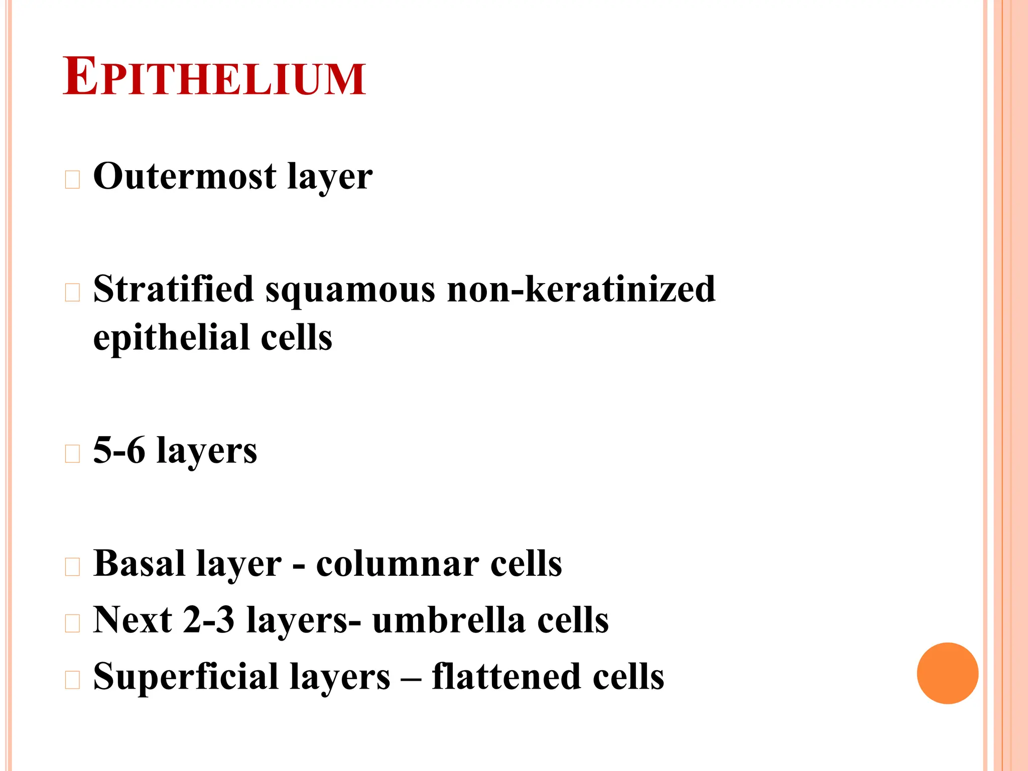 ANATOMY OF CORNEA AND MAINTENANCE OF CORNEAL TRANSPARENCY-1.pptx