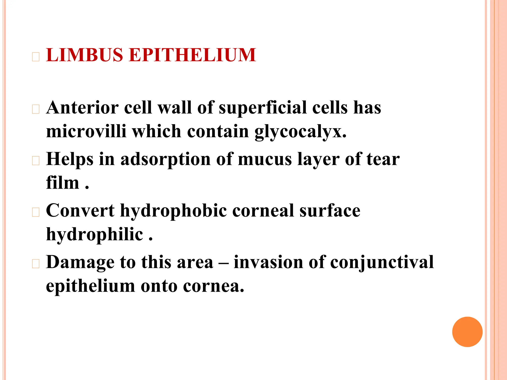 ANATOMY OF CORNEA AND MAINTENANCE OF CORNEAL TRANSPARENCY-1.pptx