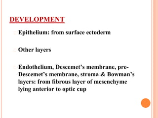 ANATOMY OF CORNEA AND MAINTENANCE OF CORNEAL TRANSPARENCY-1.pptx