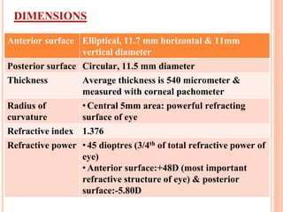 ANATOMY OF CORNEA AND MAINTENANCE OF CORNEAL TRANSPARENCY-1.pptx