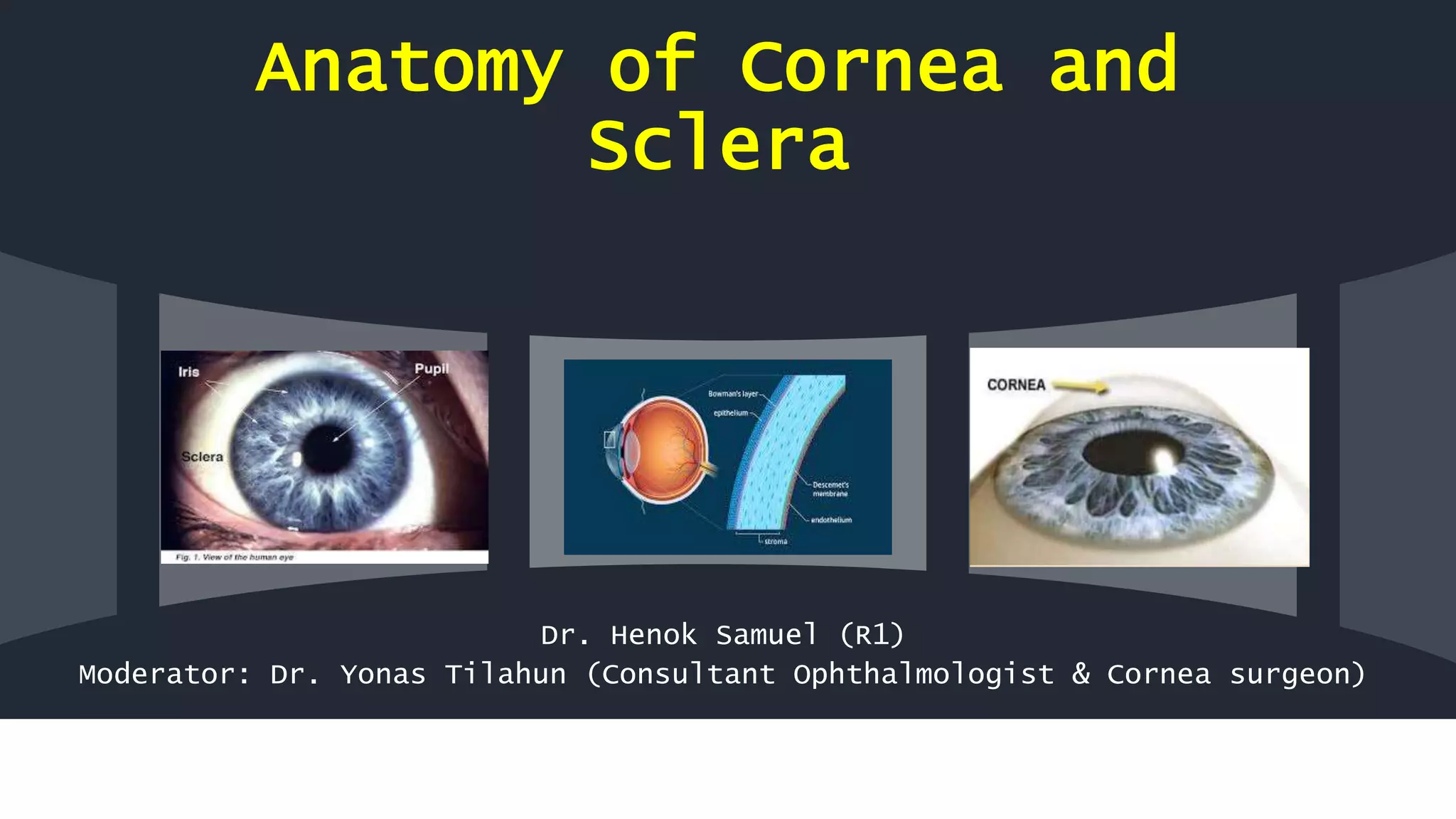 Anatomy of cornea and sclera | PPTX