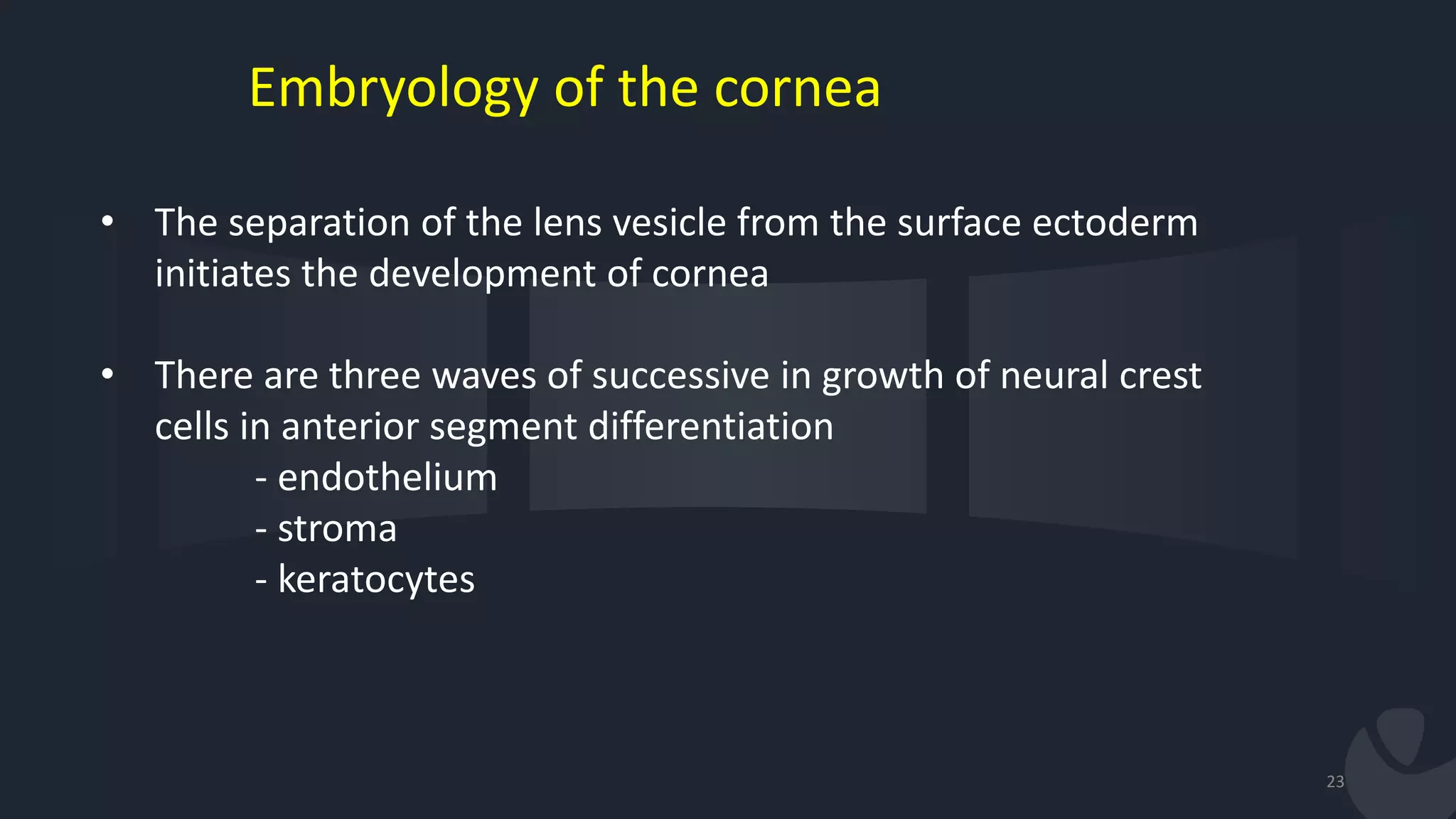 Anatomy of cornea and sclera | PPTX