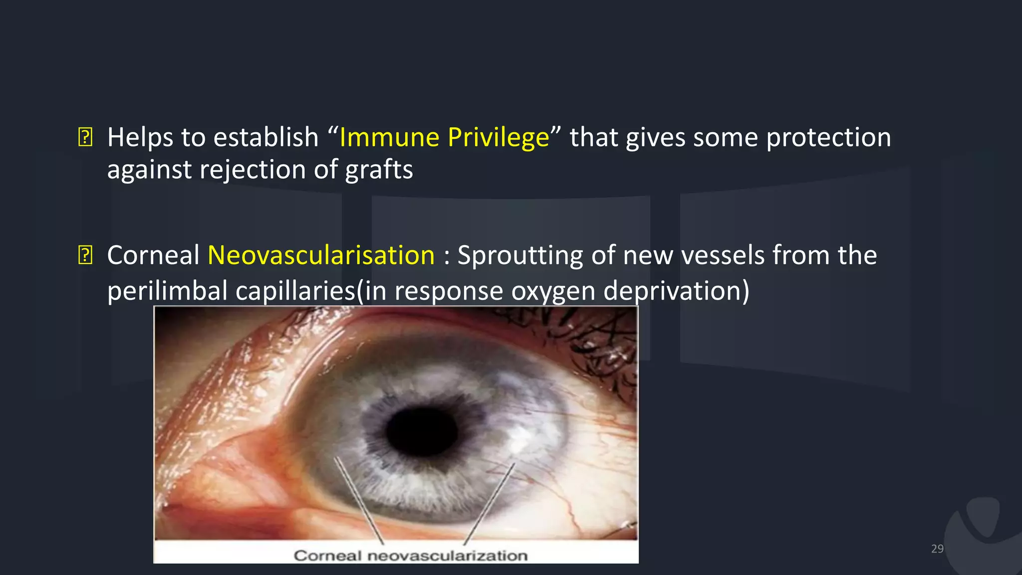 Anatomy of cornea and sclera | PPTX