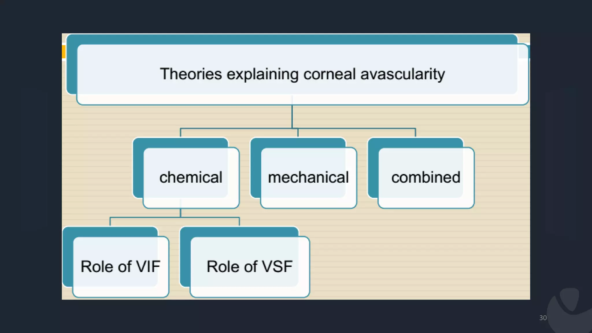 Anatomy Of Cornea And Sclera Pptx
